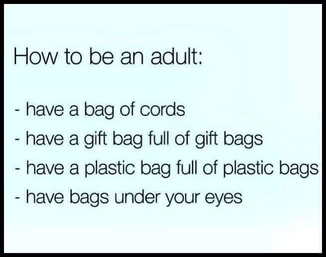 How to adult – OhSoRosie.com